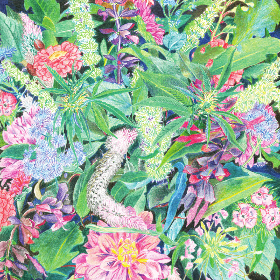 LIGHT-SPACE MODULATOR 'THE RISING WAVE' – BIG LOVE RECORDS