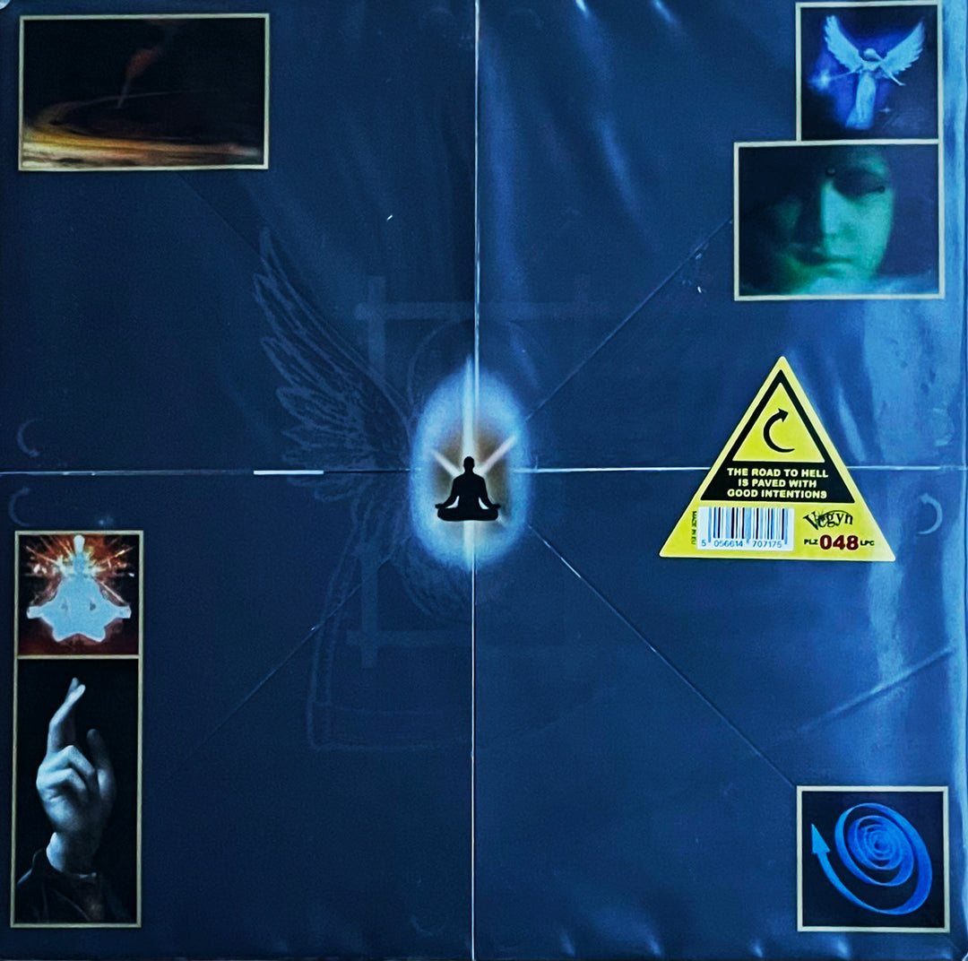 VEGYN 'THE ROAD TO HELL IS PAVED WITH GOOD INTENTIONS' – BIG LOVE RECORDS