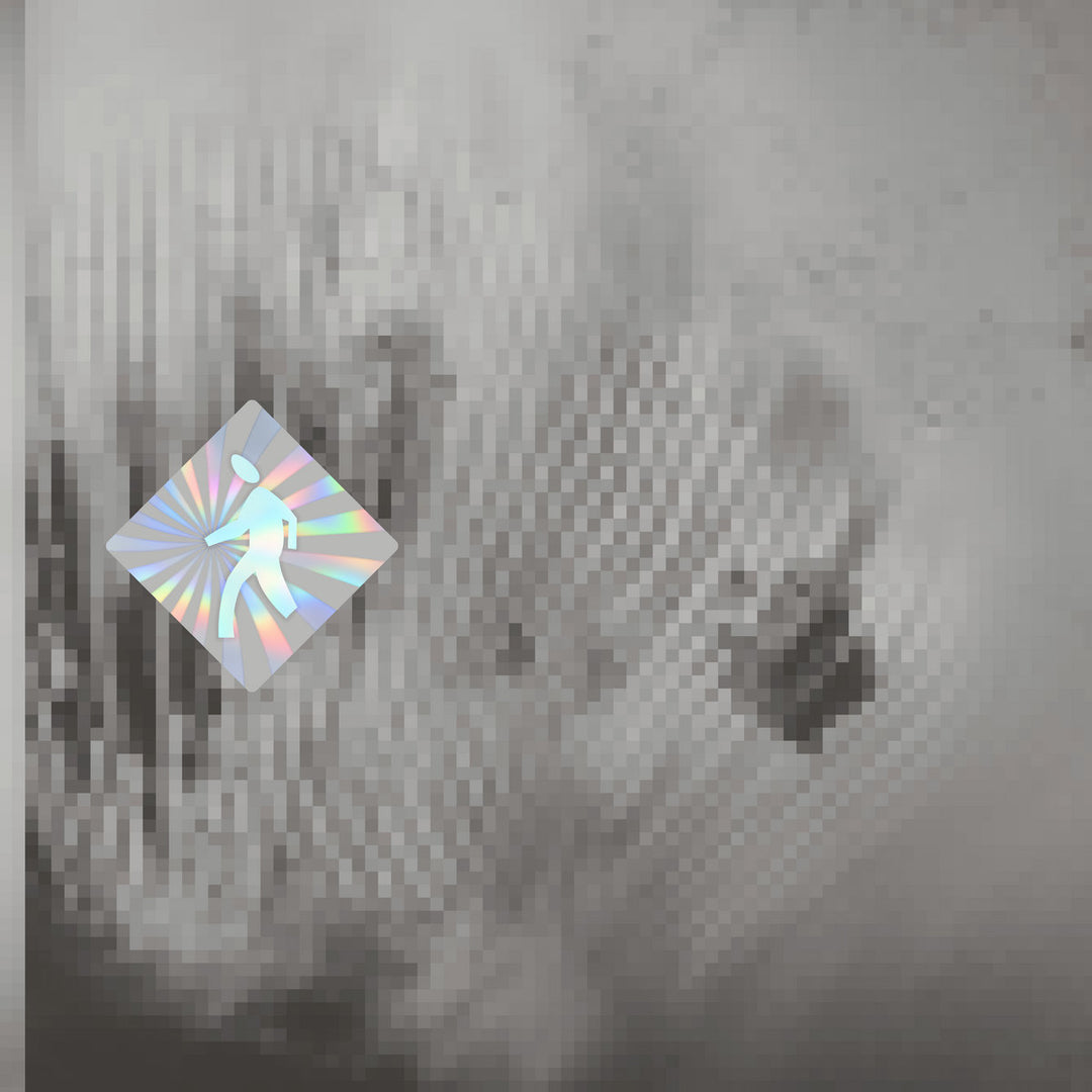 DISCOVERY ZONE 'QUANTUM WEB' – BIG LOVE RECORDS