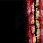 KLEFT 'H+ SEXUALIS' – BIG LOVE RECORDS